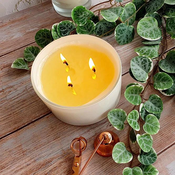 Homemade candle supplies store